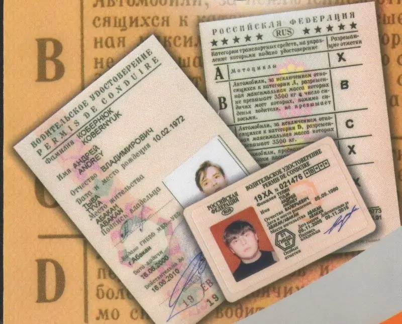 How To Recover A Lost Driver s License Literature 2024